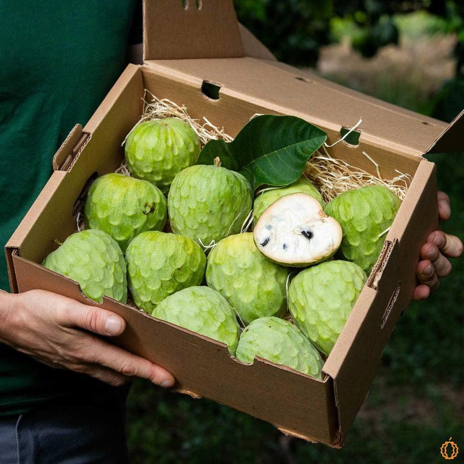 JURASSIC FRUIT | #1 in Organic Exotic Fruits, Nuts, Dates – Jurassic Fruit