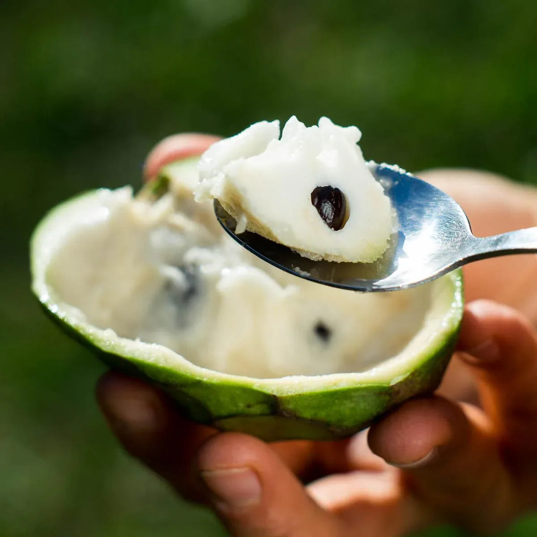 JURASSIC FRUIT | #1 in Organic Exotic Fruits, Nuts, Dates – Jurassic Fruit