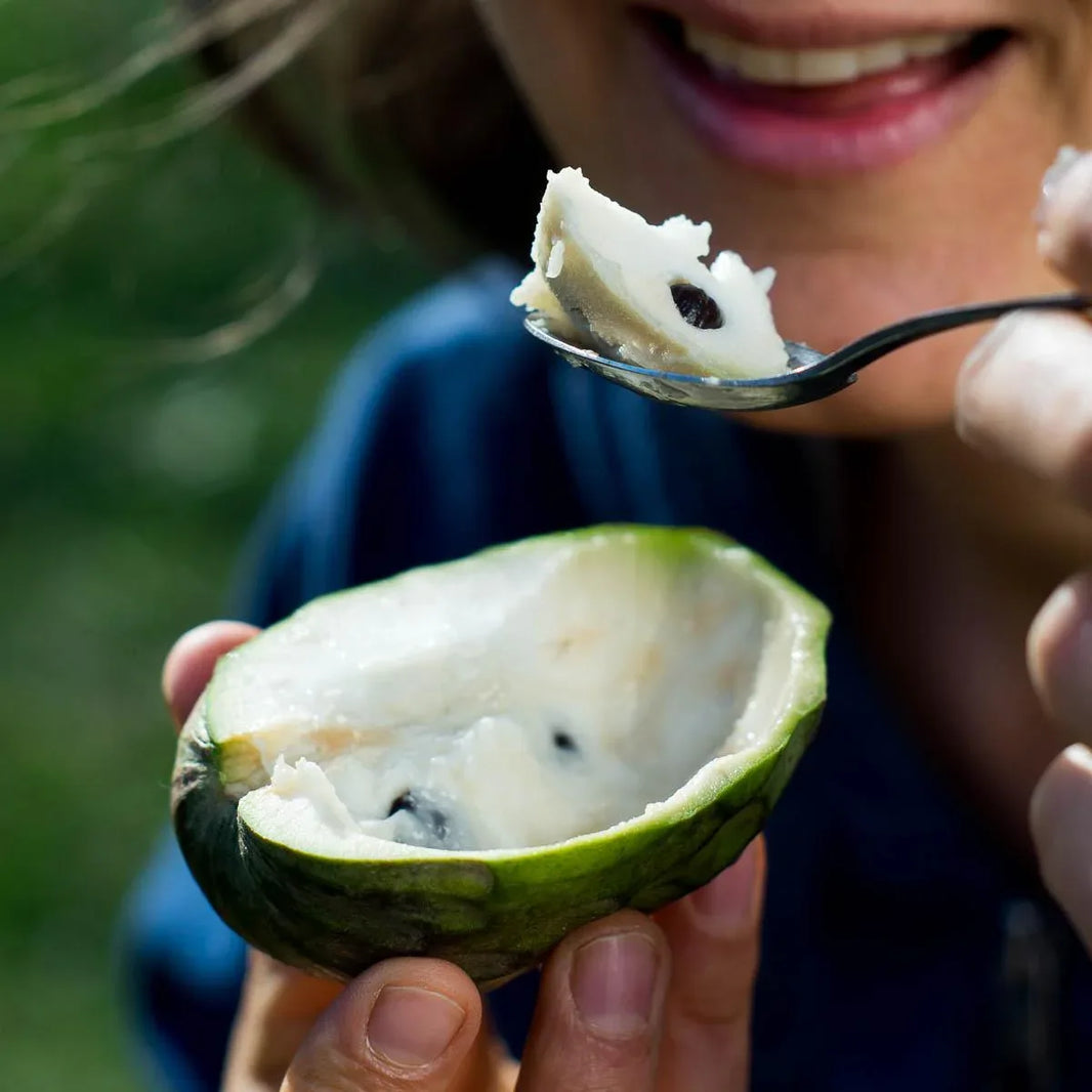 JURASSIC FRUIT | #1 in Organic Exotic Fruits, Nuts, Dates – Jurassic Fruit