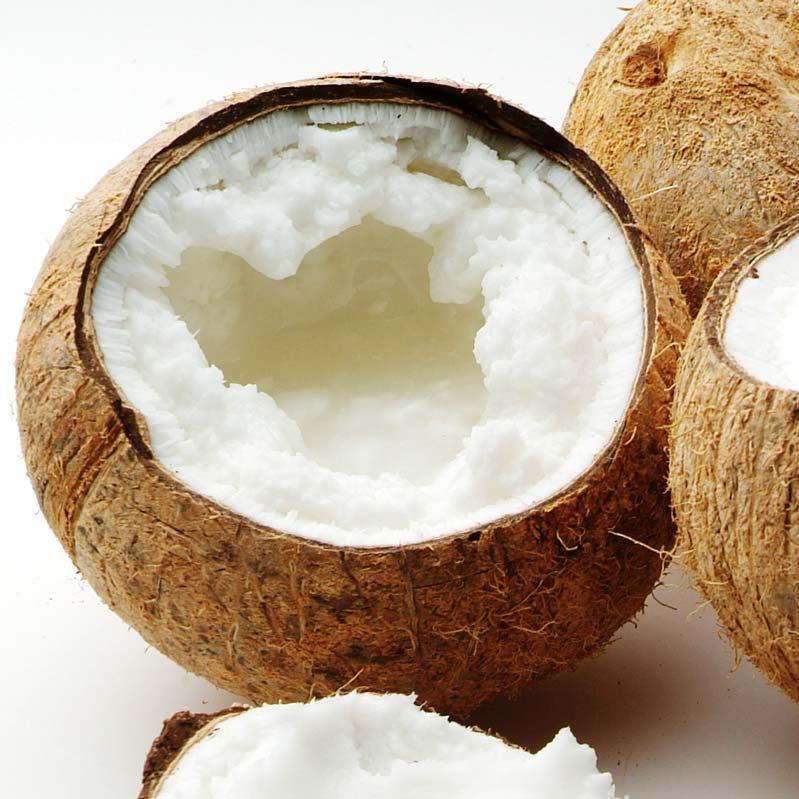 Coconut Butter Macapuno Delivered Fresh - Jurassic Fruit