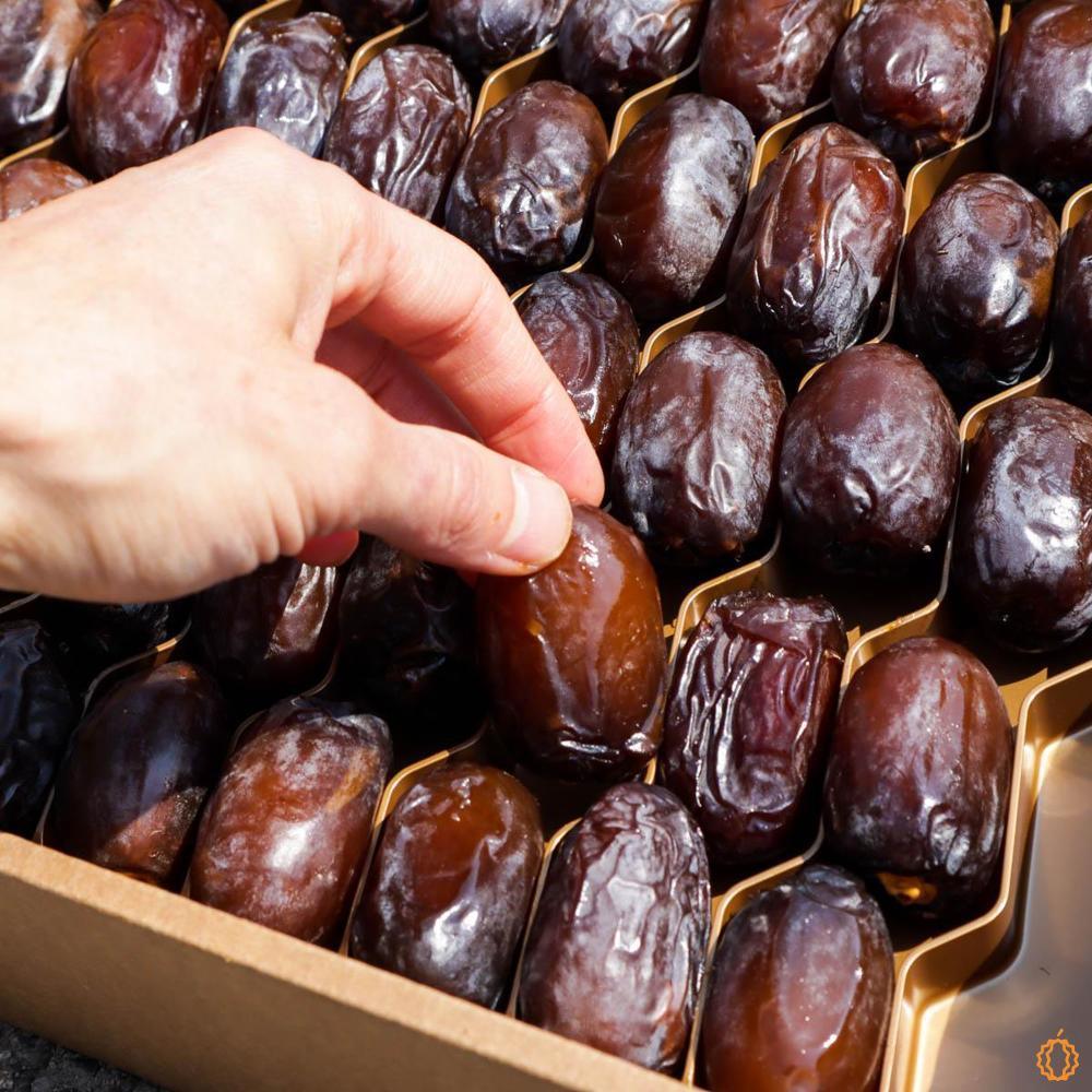 JURASSIC FRUIT | #1 für exotische Bio Früchte, Nüsse, Datteln ...