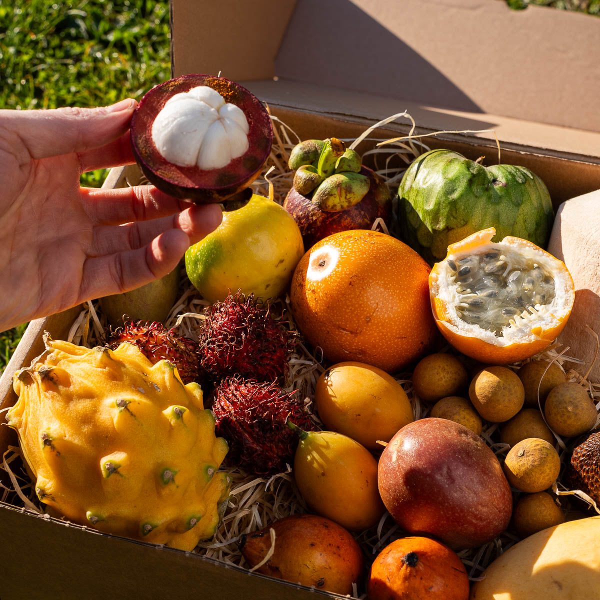 JURASSIC FRUIT | #1 in Organic Exotic Fruits, Nuts, Dates – Jurassic Fruit