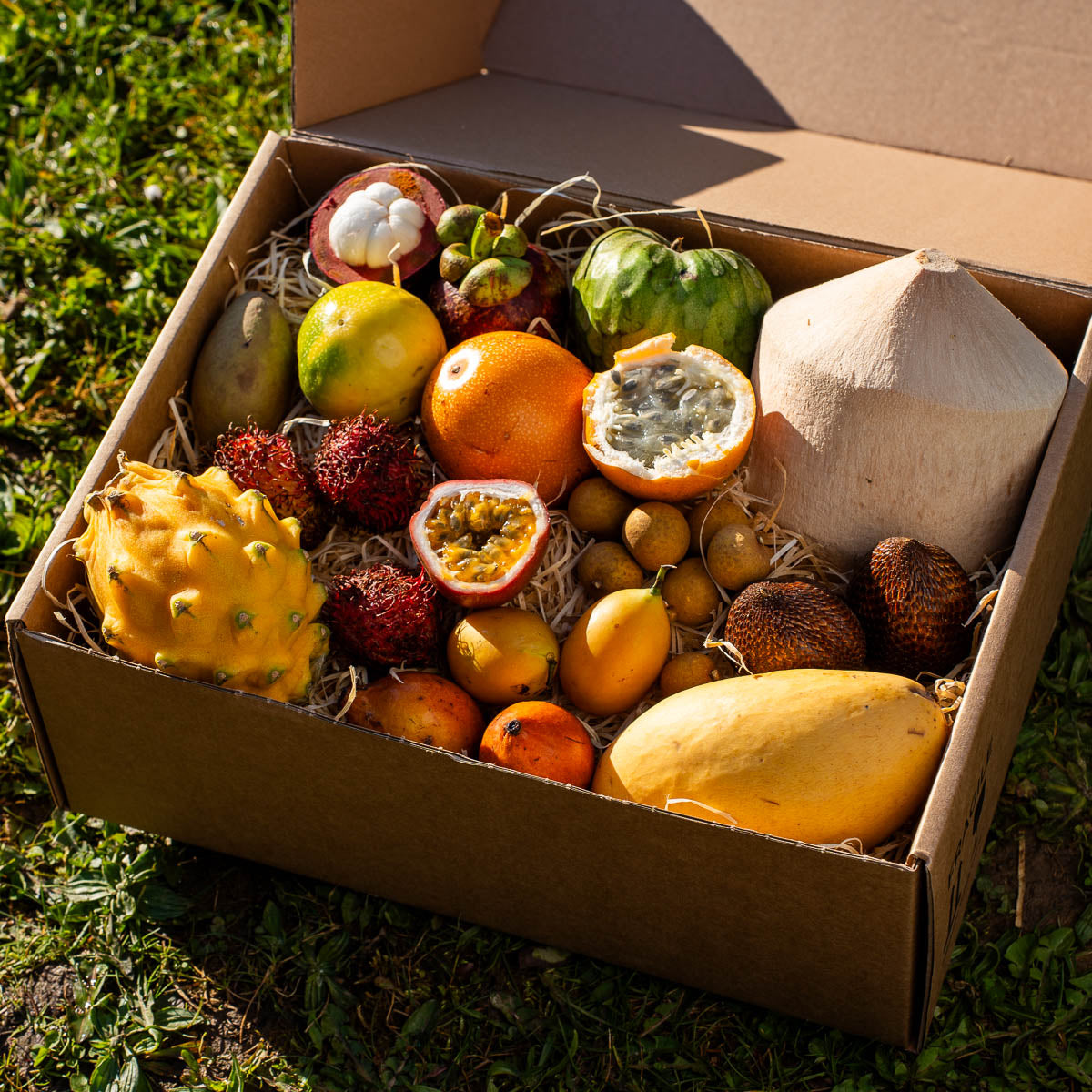 JURASSIC FRUIT | #1 in Organic Exotic Fruits, Nuts, Dates – Jurassic Fruit