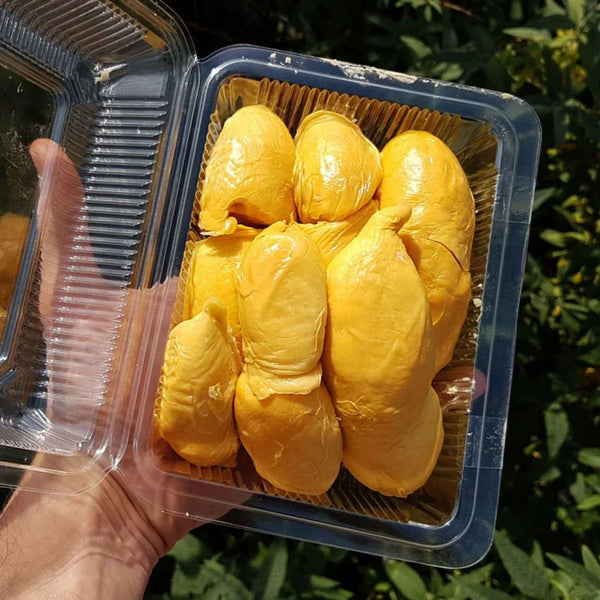 Durian Puang Manee geschält frisch geliefert - Jurassic Fruit