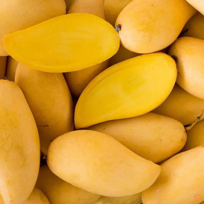 Mango Nam Dok Mai Delivered Fresh - buy at Jurassic Fruit