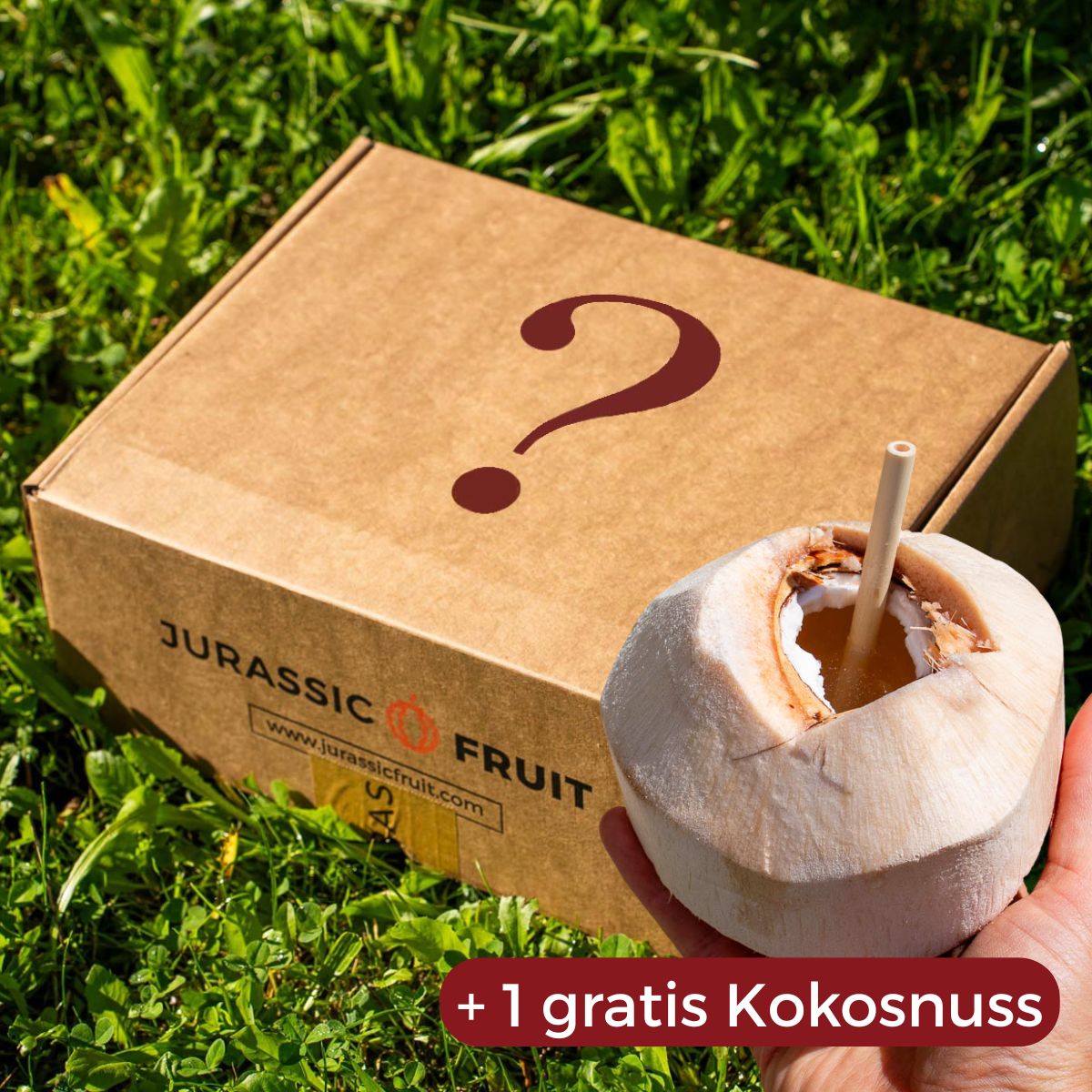 JURASSIC FRUIT | #1 in Organic Exotic Fruits, Nuts, Dates – Jurassic Fruit