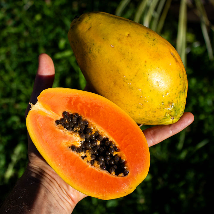 70 Rare Exotic Fruits to Discover | Jurassic Fruit – Page 2