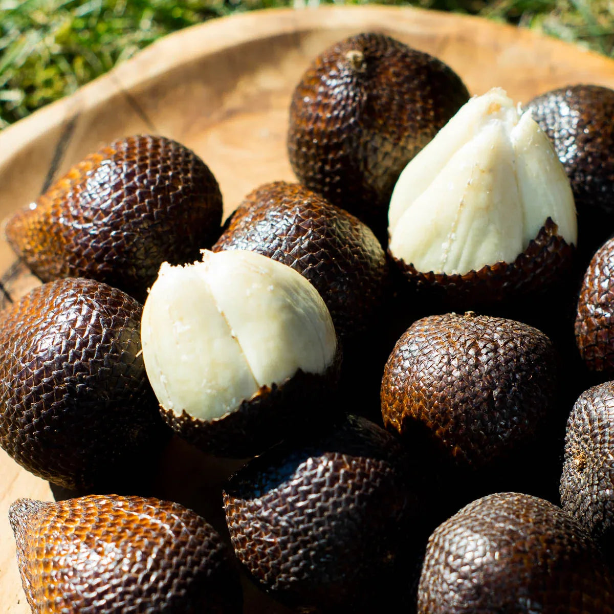 Salak (Snake Fruit) Honey Delivered Fresh - Jurassic Fruit