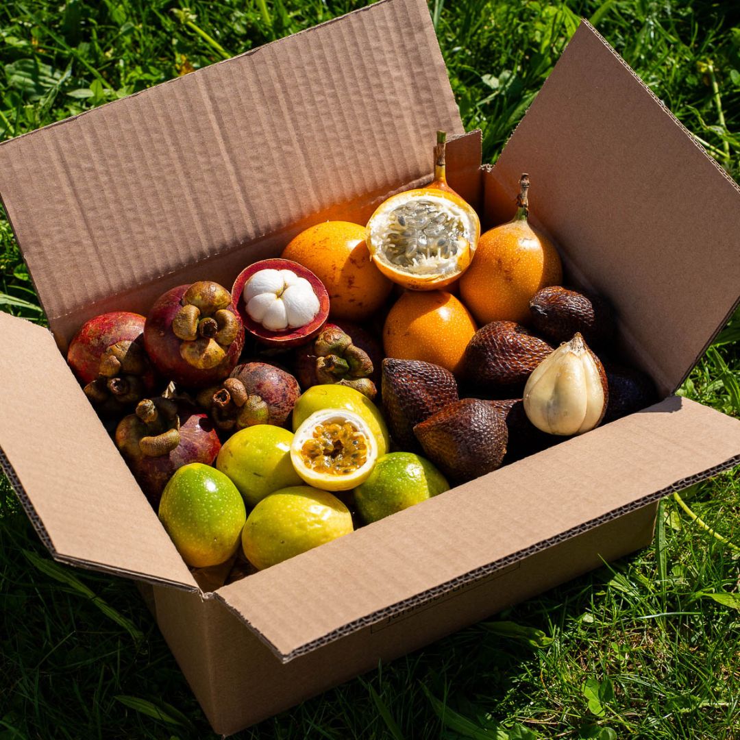 JURASSIC FRUIT | #1 in Organic Exotic Fruits, Nuts, Dates – Jurassic Fruit
