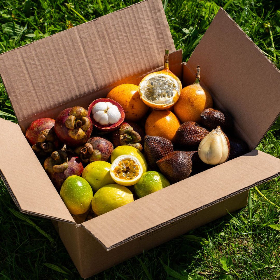 JURASSIC FRUIT | #1 in Organic Exotic Fruits, Nuts, Dates – Jurassic Fruit
